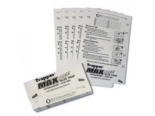 Trapper Max Free Glue Trap (72/box)